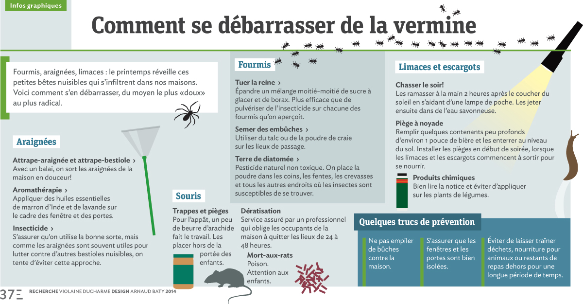 Infographie: Comment se débarrasser de la vermine