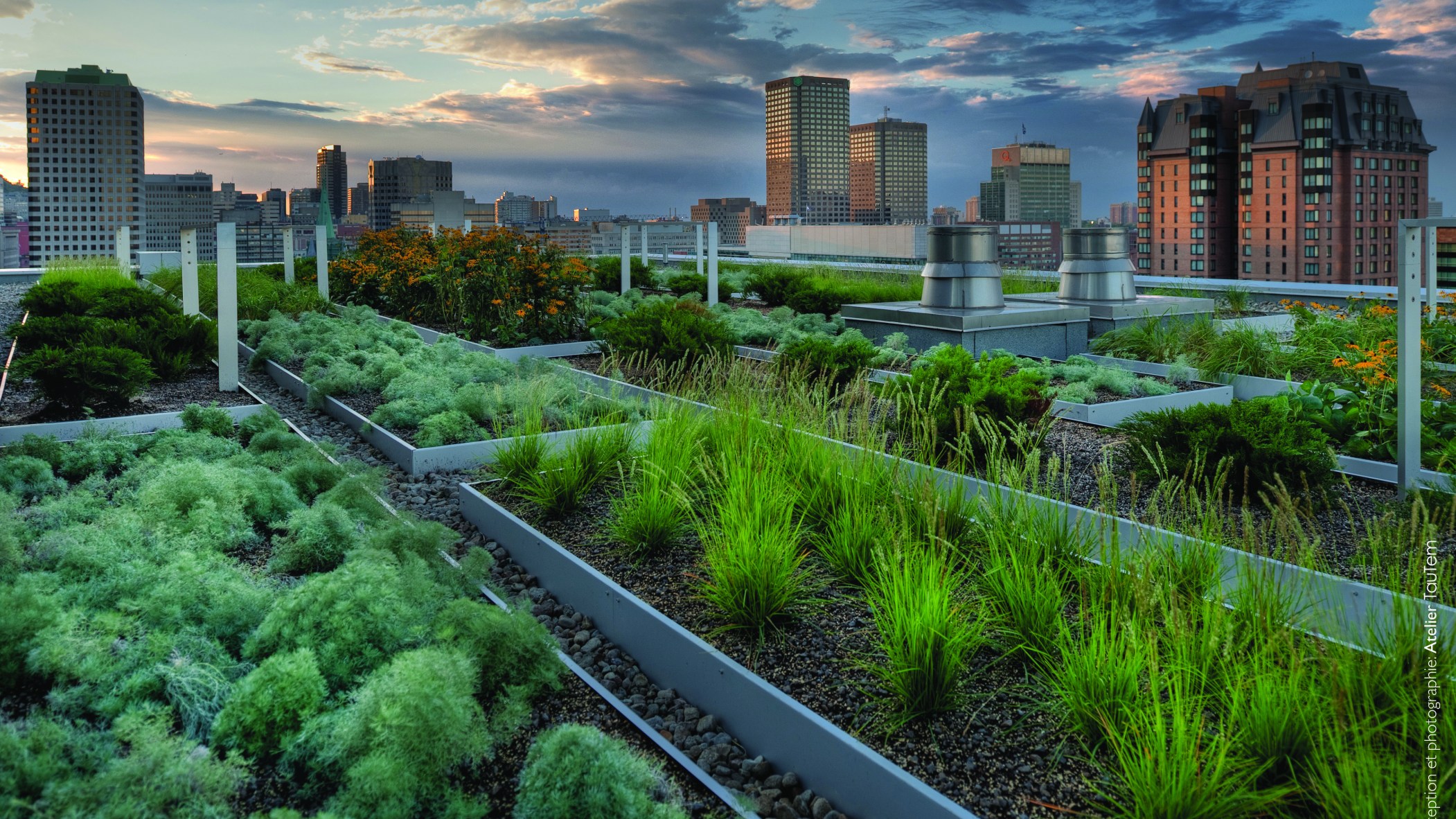 L'avenir des toits verts incertain