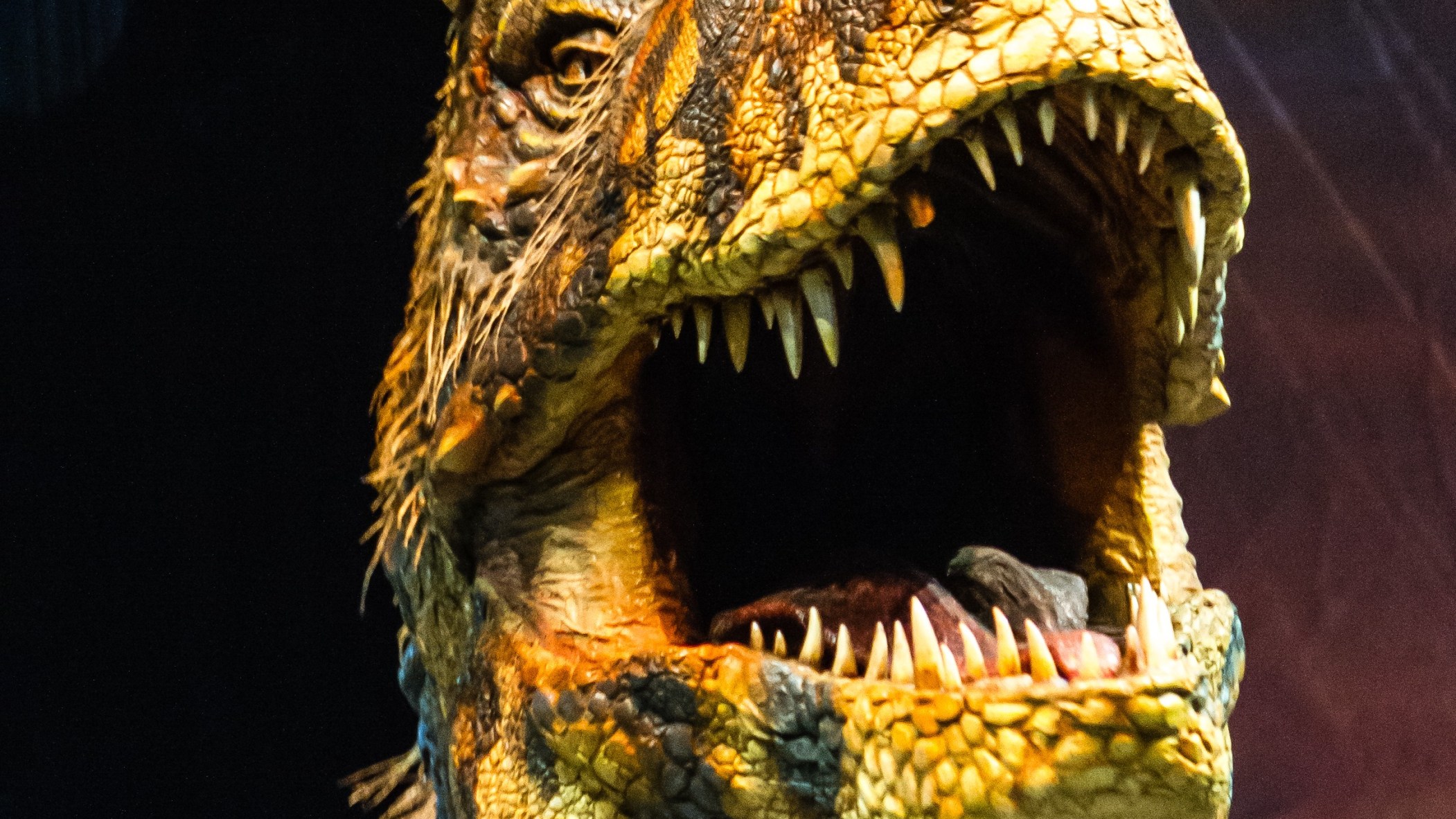 Le T-Rex croquait les os comme de simples biscuits