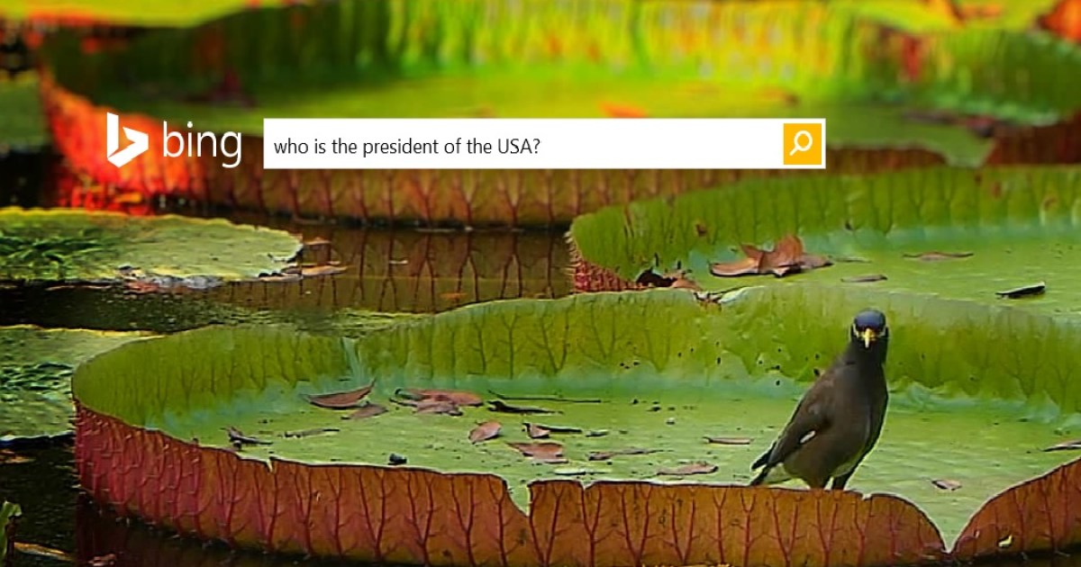 Microsoft vous propose de discuter avec Bing