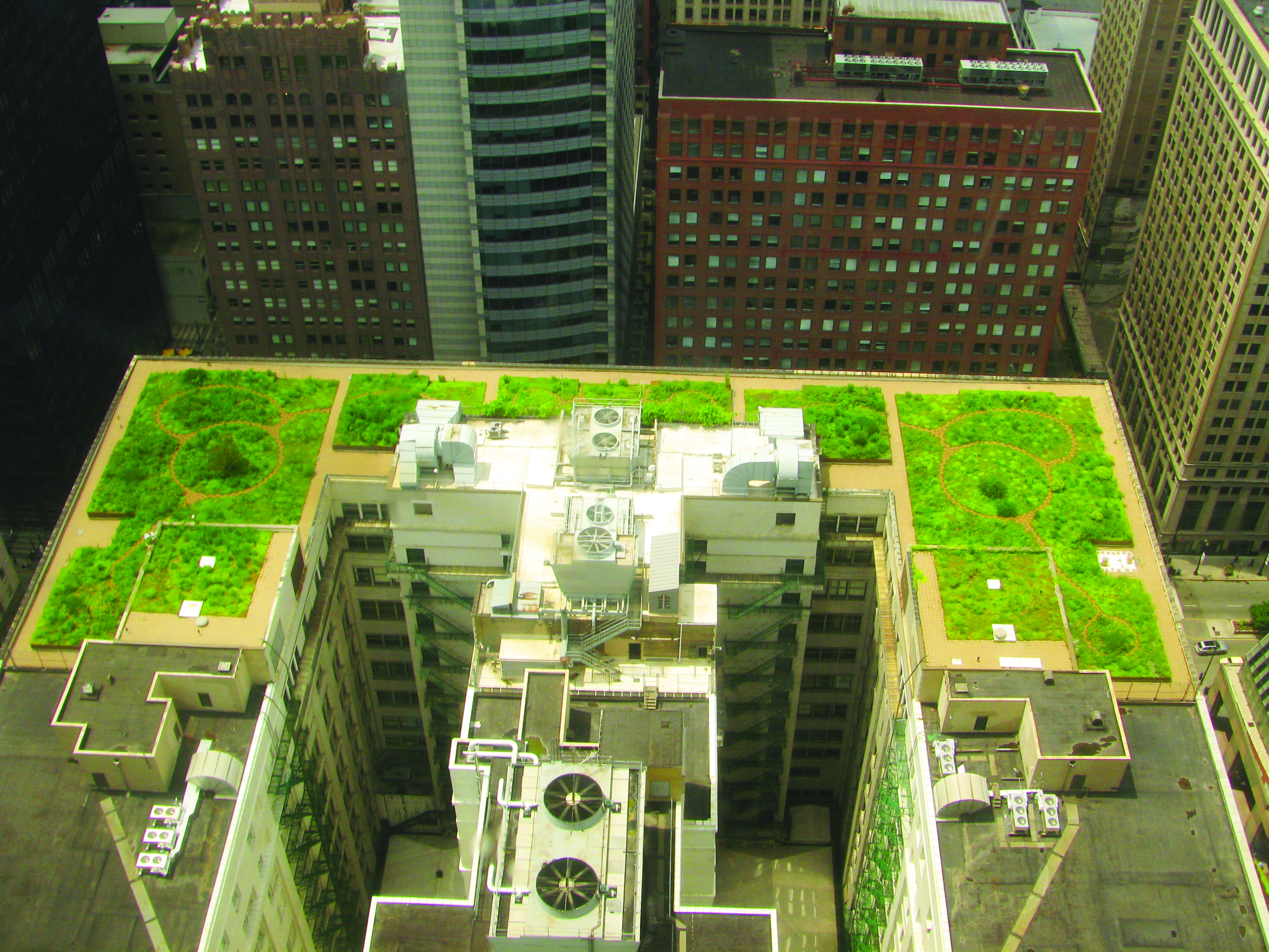 Les nombreux avantages des toits verts