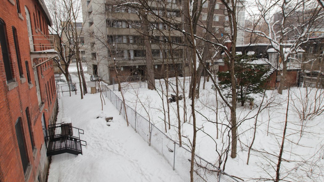 Un pas de plus vers la protection du jardin de la Maison Notman