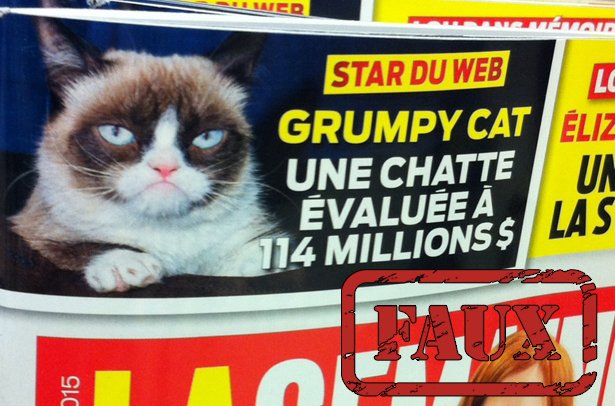 Non, «Grumpy Cat» ne vaut pas 114 M$