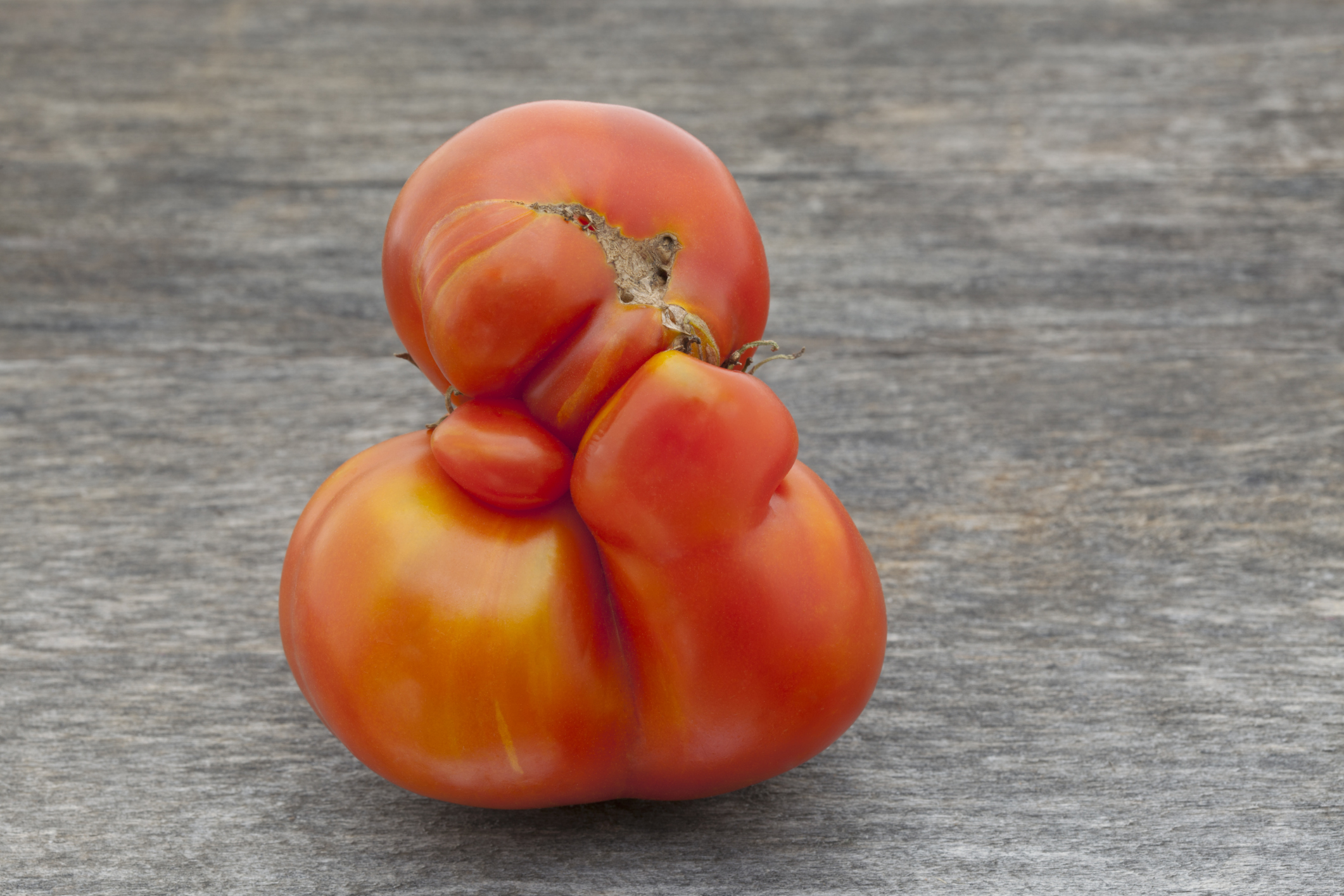 Fruits et légumes moches dans les supermarchés