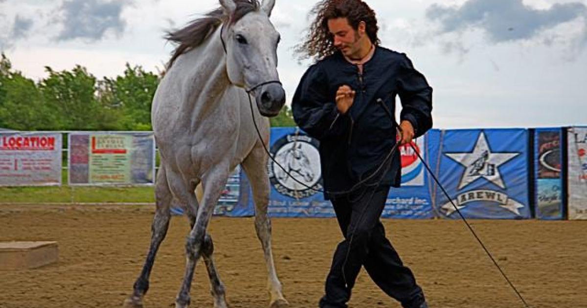 Un cheval de Cavalia à la Maison Saint-Gabriel