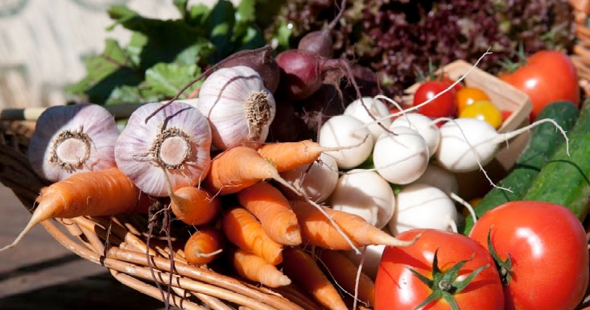 Distribution de légumes biologiques à bon prix