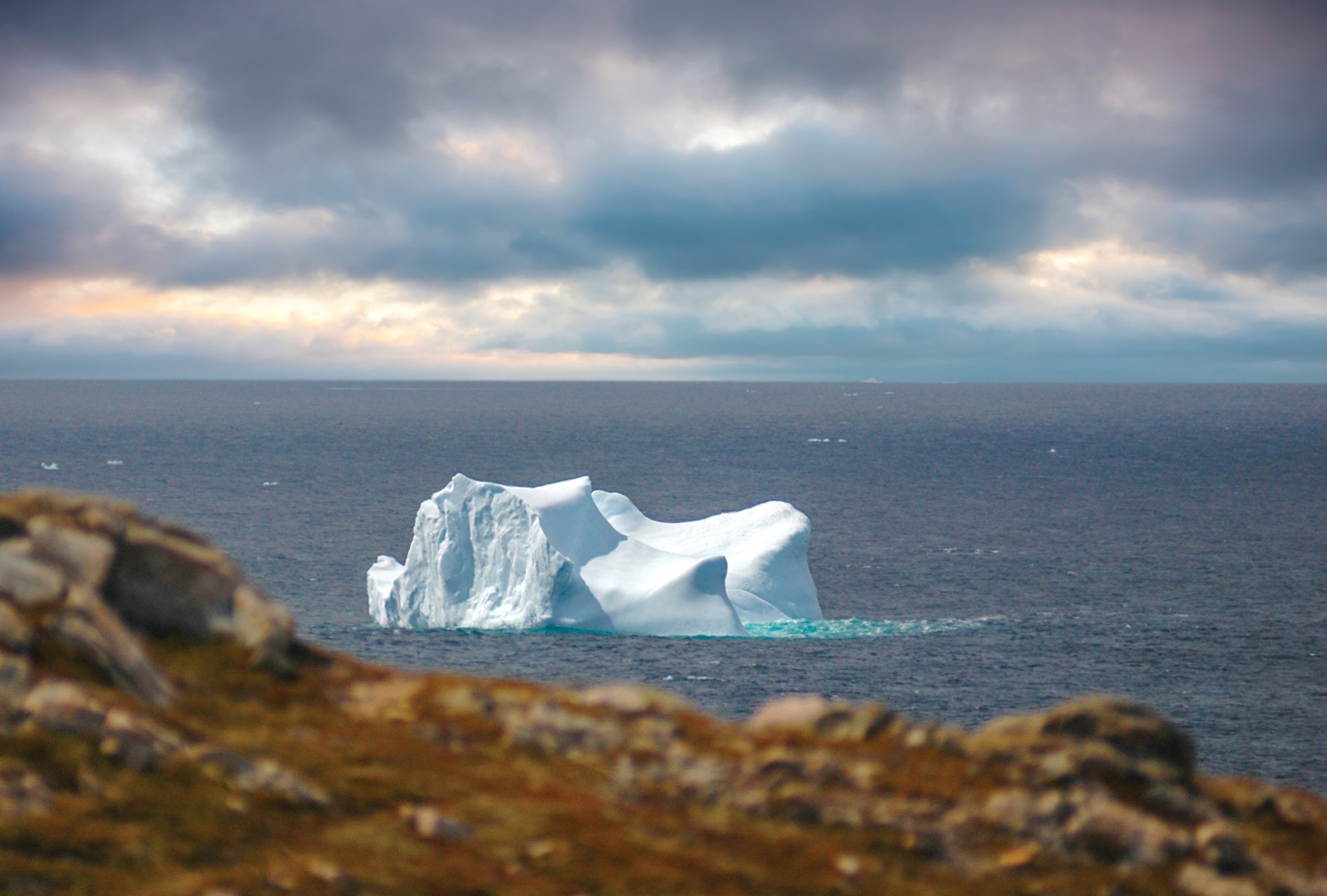 Cinq endroits d’où observer la dérive des icebergs à Terre-Neuve-et ...