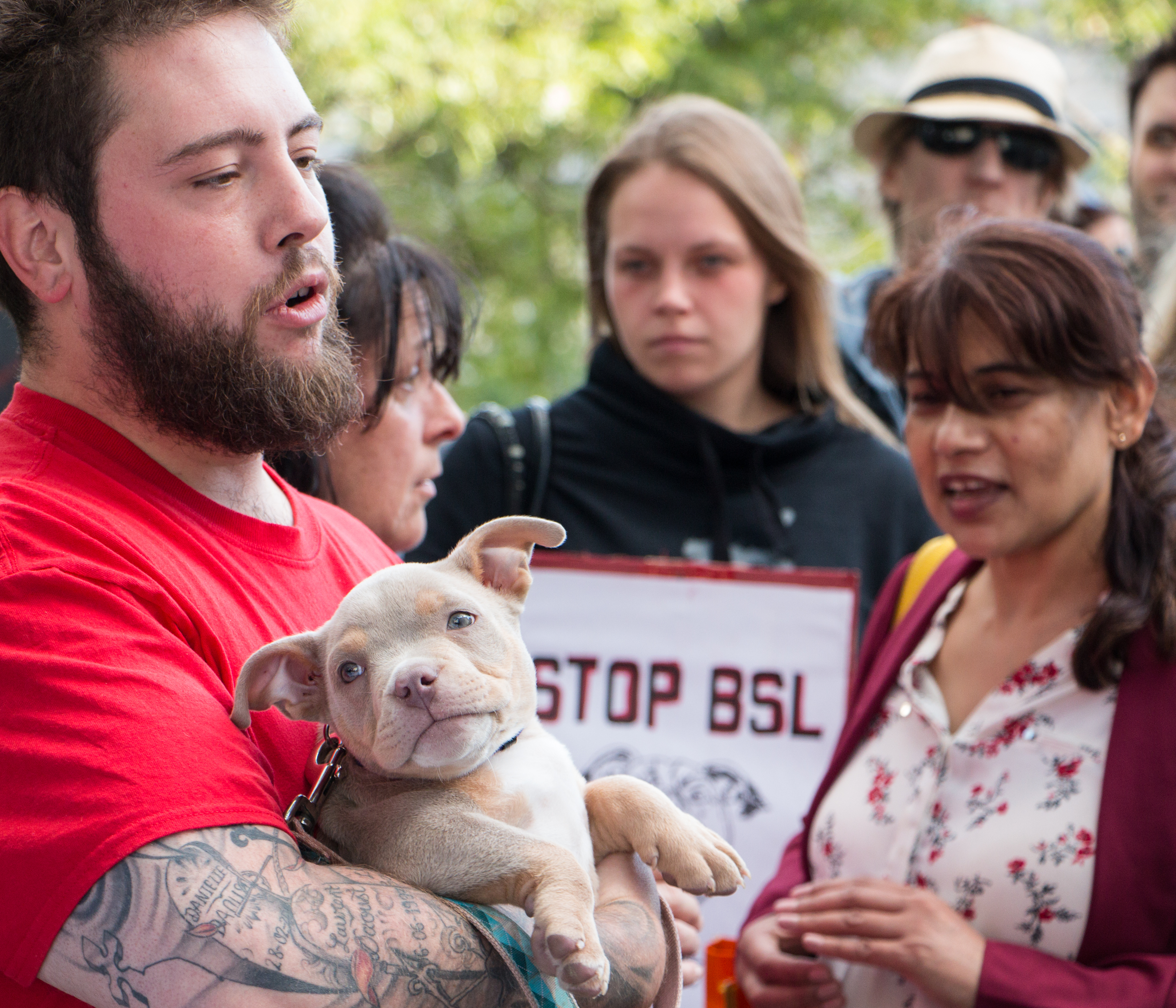 Manifestation pro-pitbull devant l'hôtel de ville