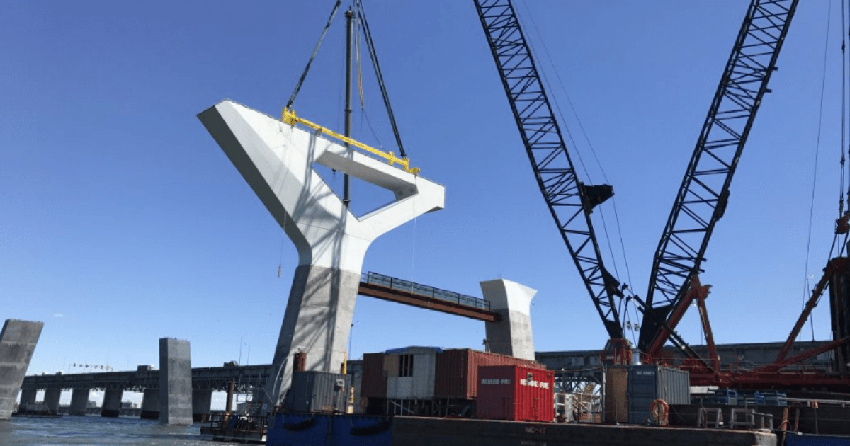 Un chevêtre installé aux abords de l'île