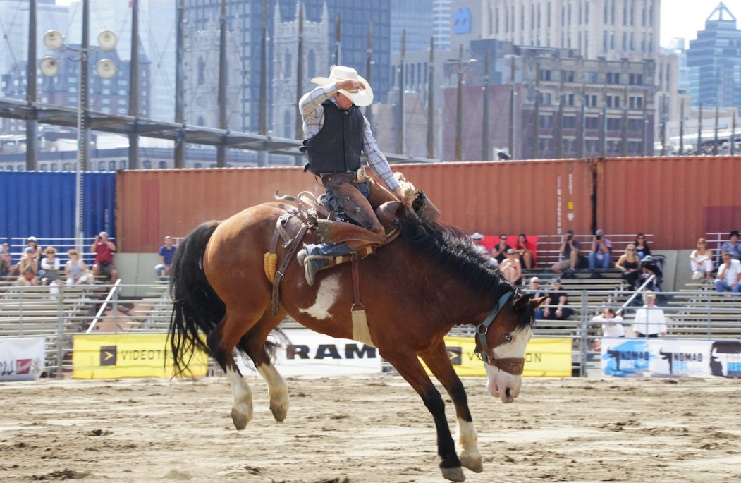 Le rodéo urbain ne reviendra pas à Montréal