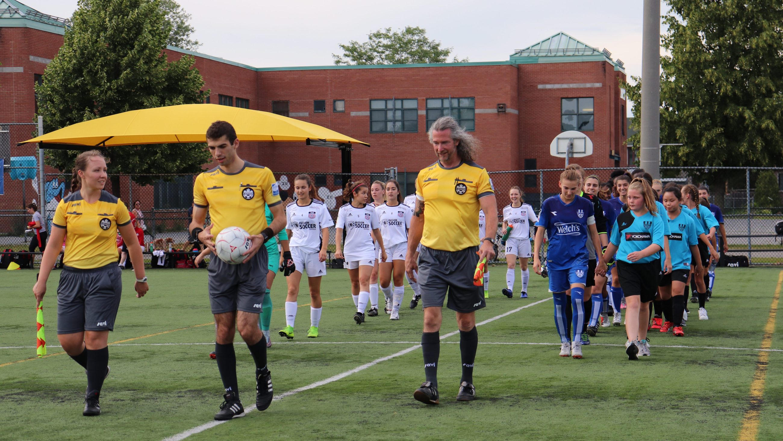 Pas d'équipe semi-pro féminine en PLSQ pour Pierrefonds cette année