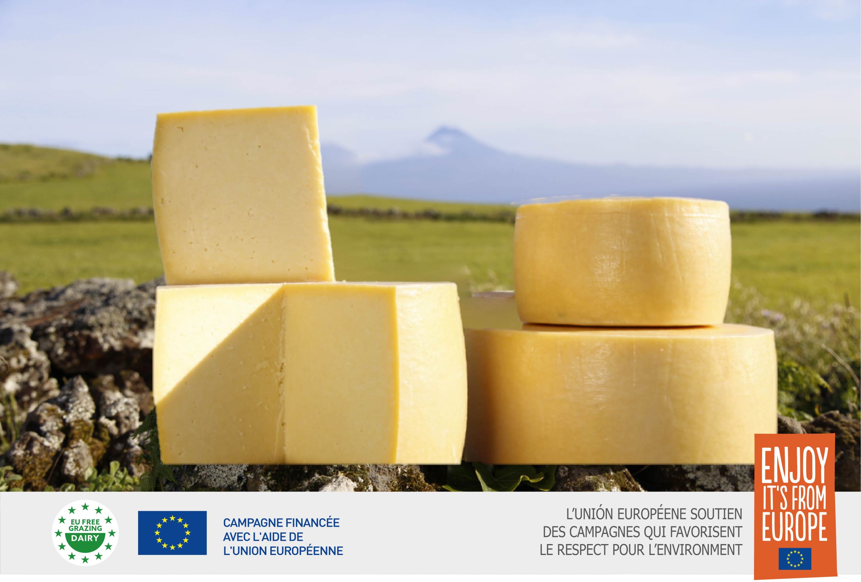 La crème des fromages à découvrir