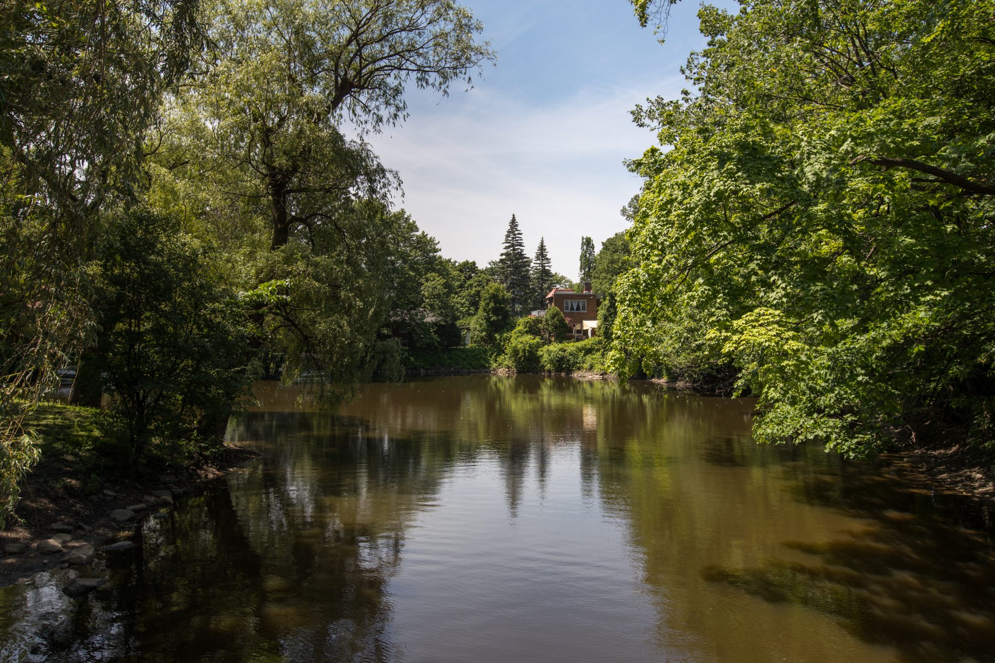 L'arrondissement interdit les barbecues au parc Raimbault