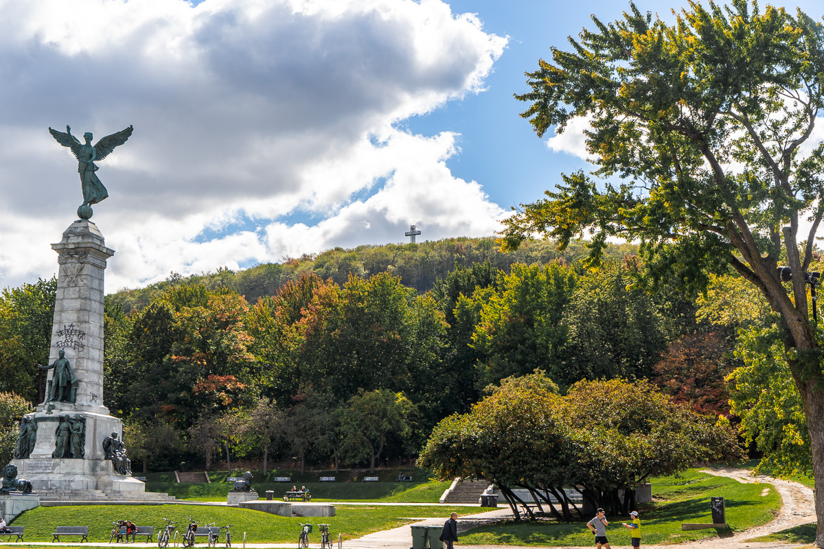 Un plan de 3M$ pour la biodiversité du mont Royal