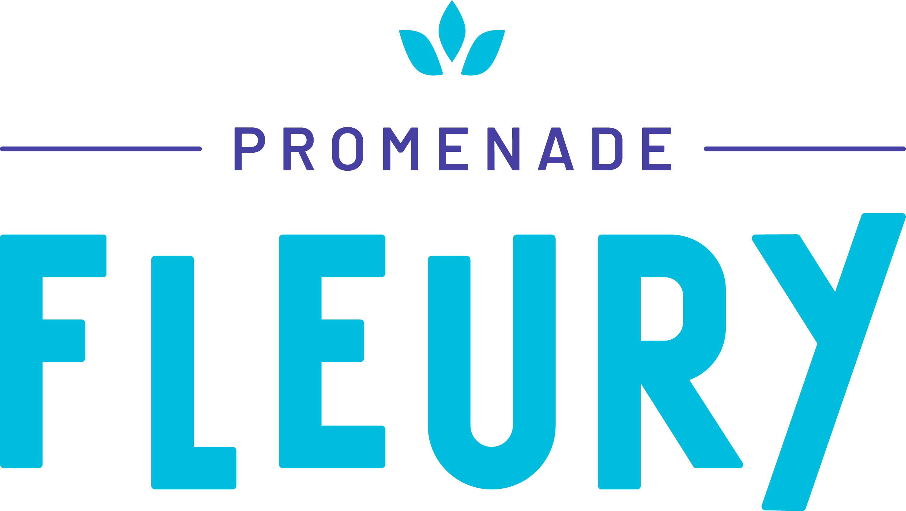 Le Festi Fleury : retour attendu d’un événement incontournable
