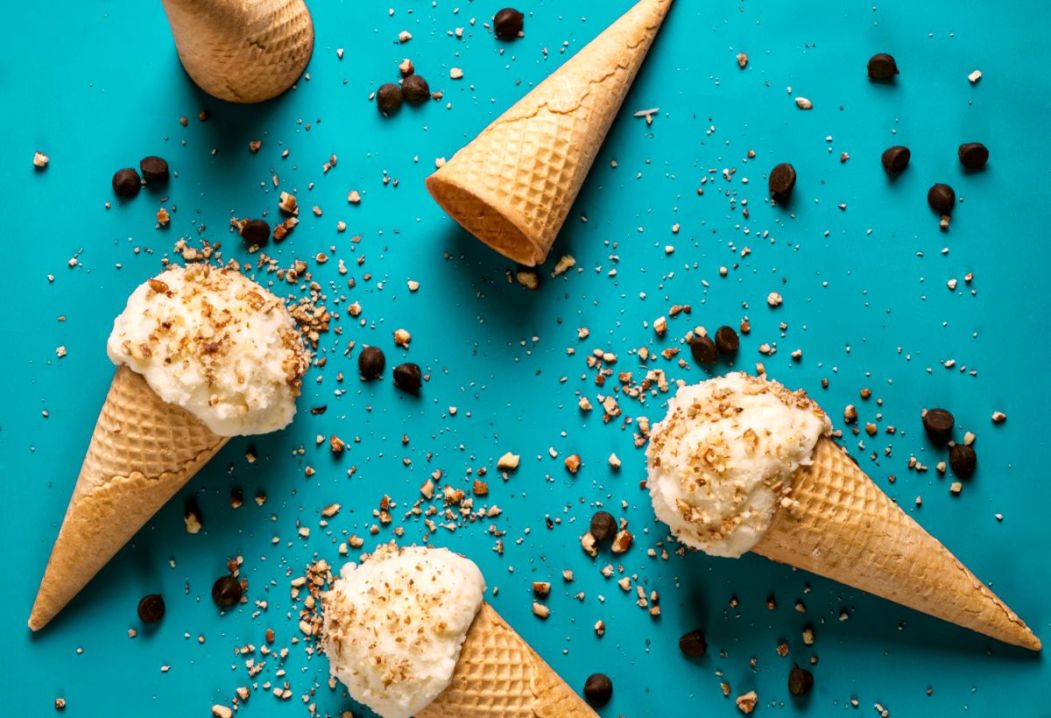 Quatre insectes québécois inusités