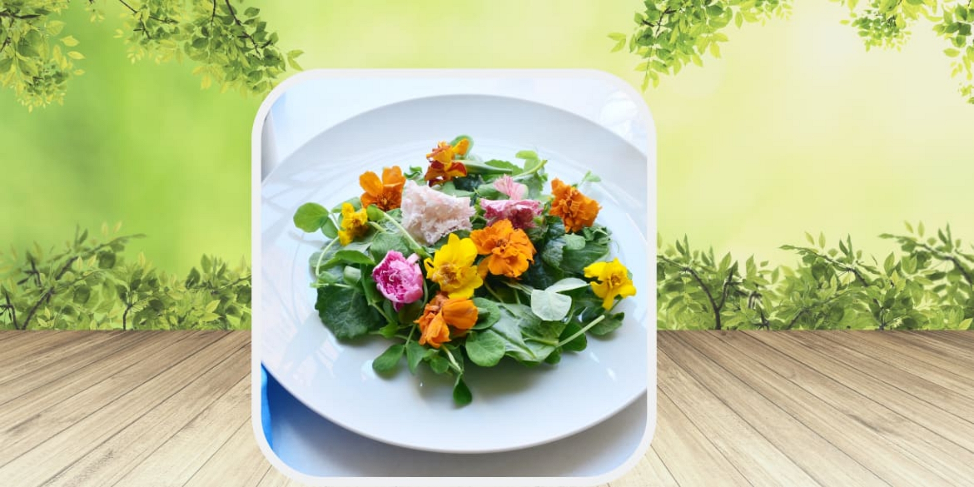 Fleurs comestibles : du jardin à votre assiette | Journal Métro