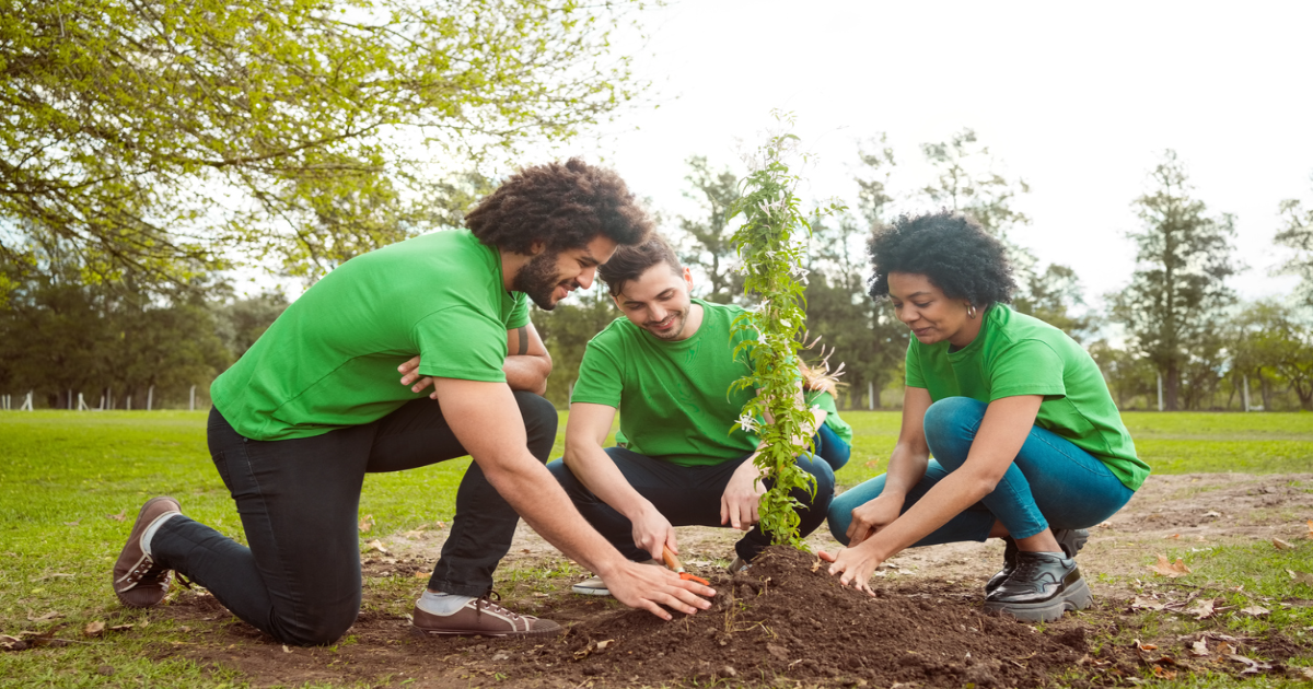 Bénévoles recherchés pour planter des arbres sur l'Île Sainte-Thérèse