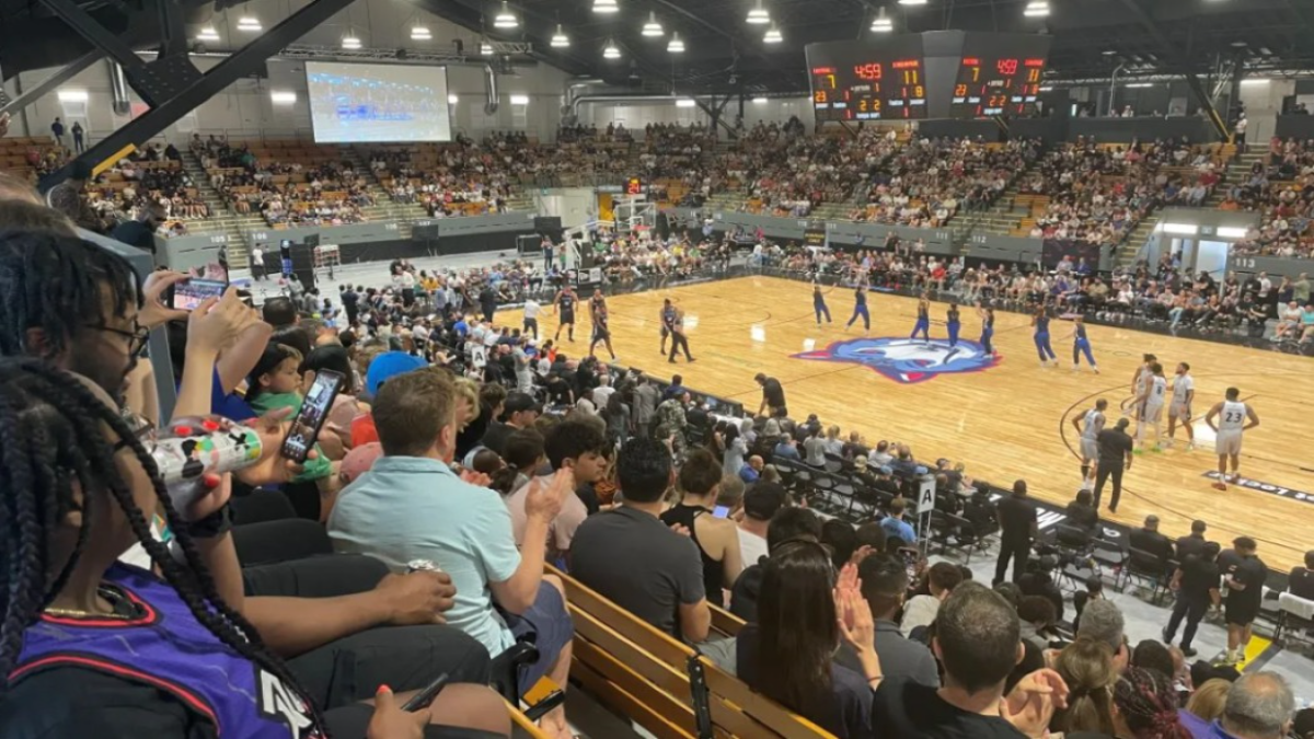Basketball à Montréal: une pratique rayonnante