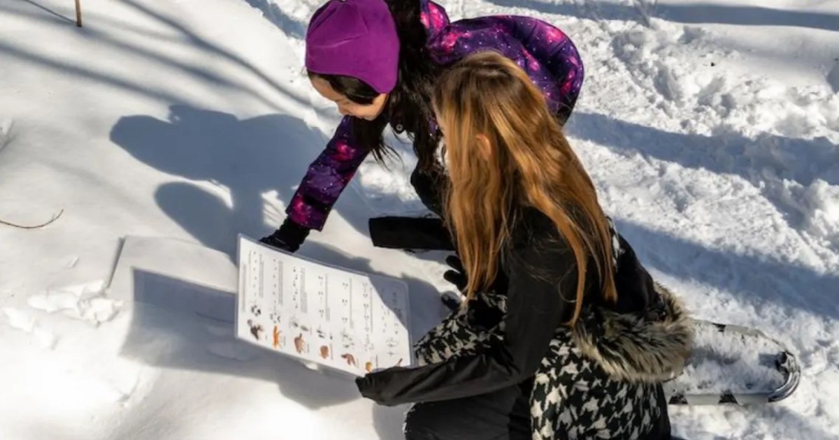 Une bête dans les parages | Journal Métro