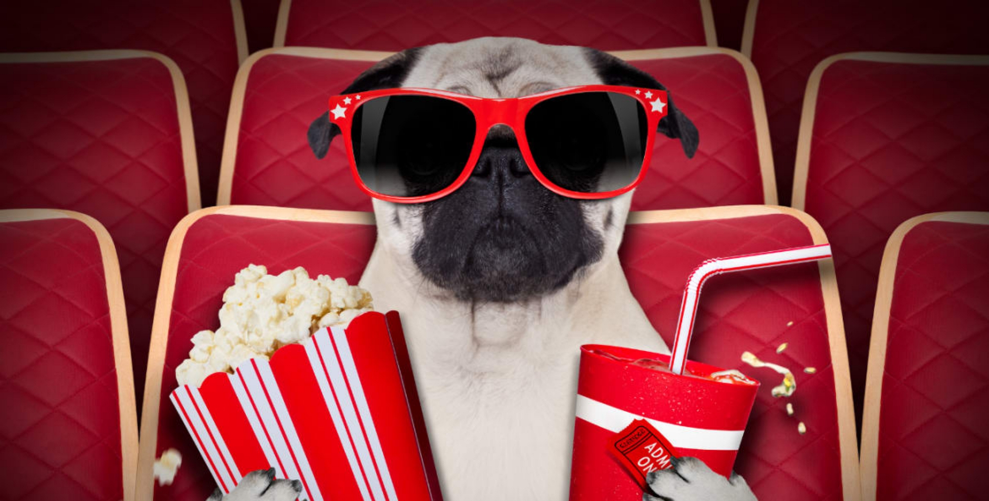 Ciné-pop corn | Journal Métro