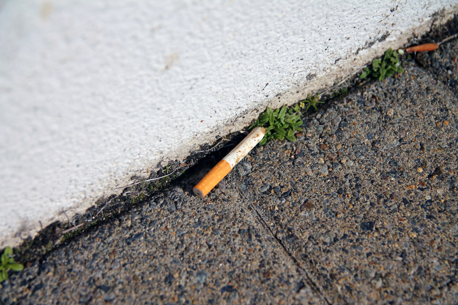 Ton maudit mégot par terre