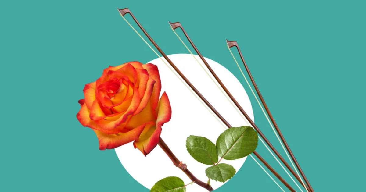 Élégance à la Kerson Leong - Orchestre Métropolitain | Journal Métro