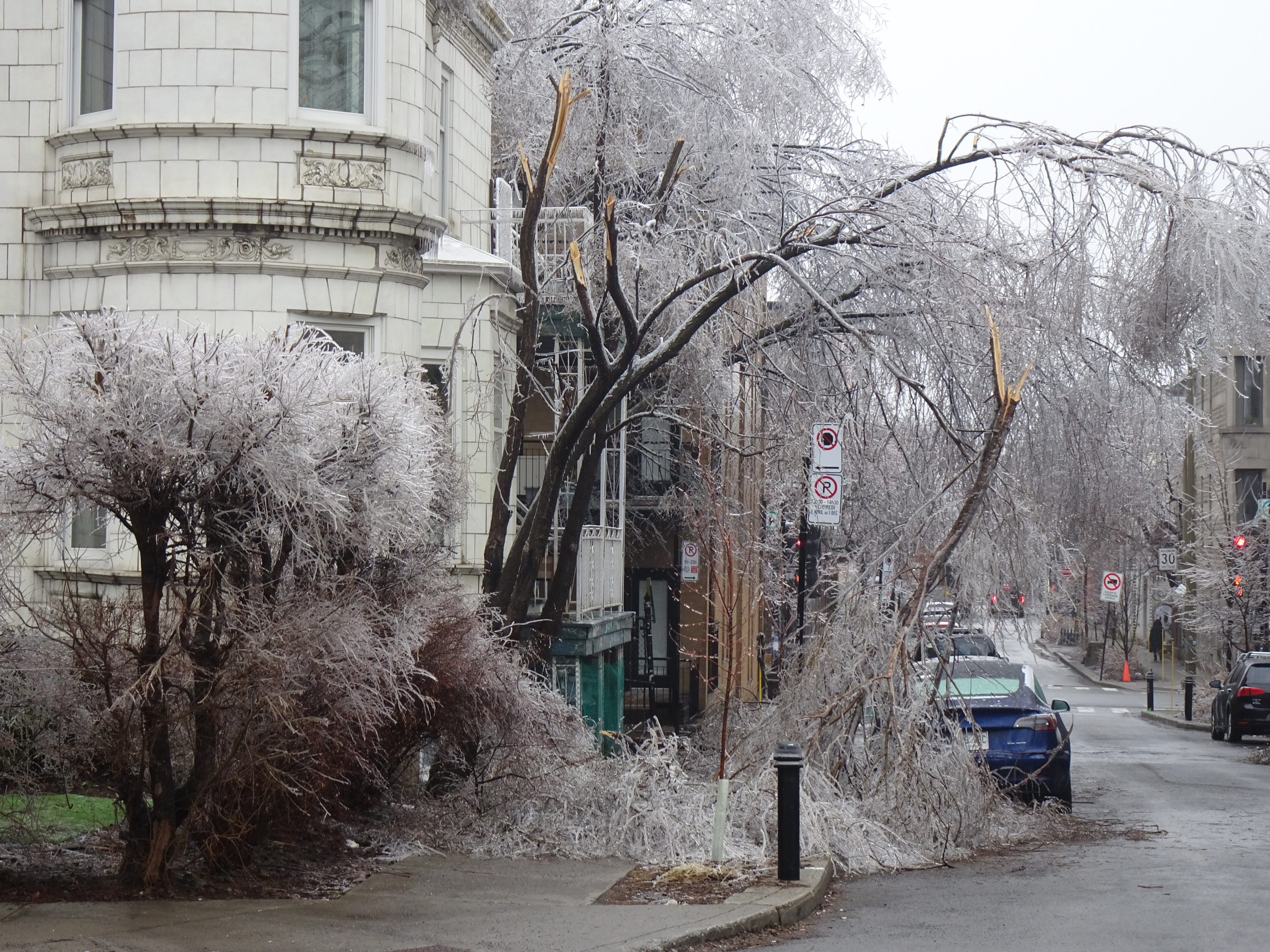 En photos: les rues de Montréal dévastées après la tempête de verglas