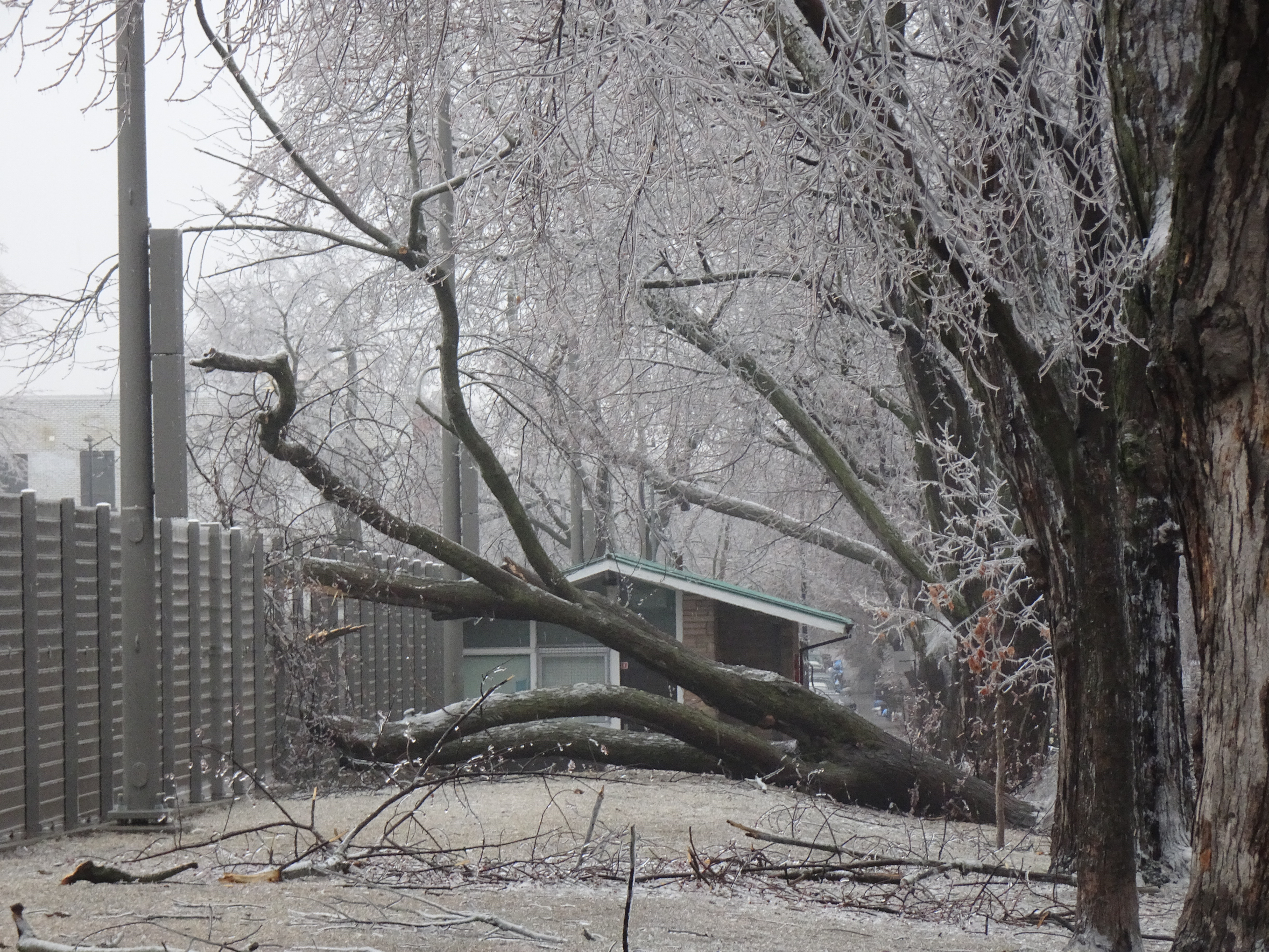 En photos: les rues de Montréal dévastées après la tempête de verglas
