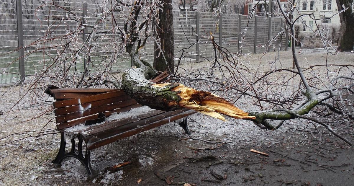 Verglas: plus que 3000 foyers montréalais encore sans électricité