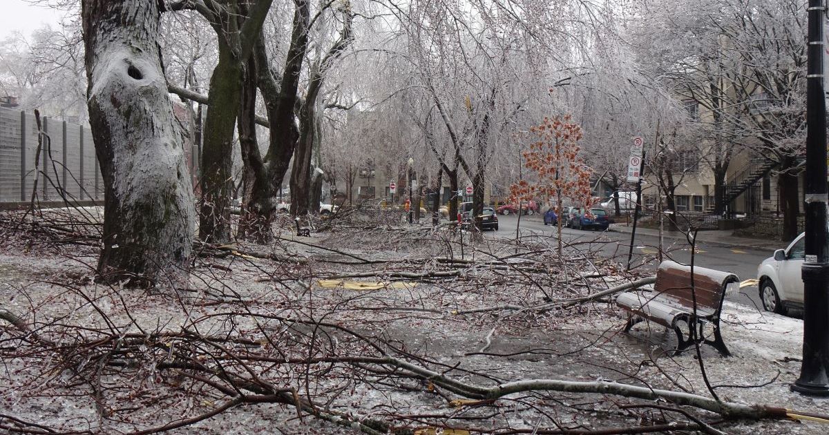 Tempête de verglas: des mesures pour vous aider dans votre arrondissement