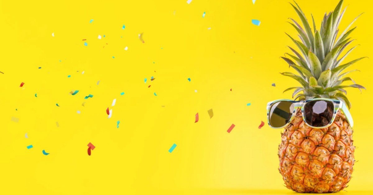 Fête de l’été à la Bibliothèque! | Journal Métro