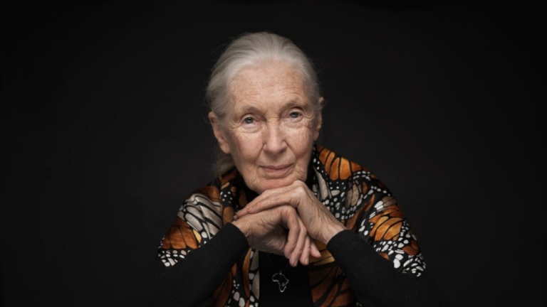 Xavier Watso, auteur au Journal Métro