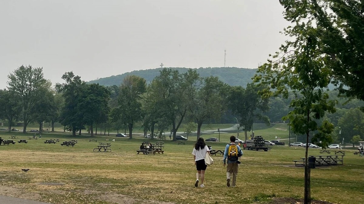 Le retour de Lance et compte: «Go, go go!»