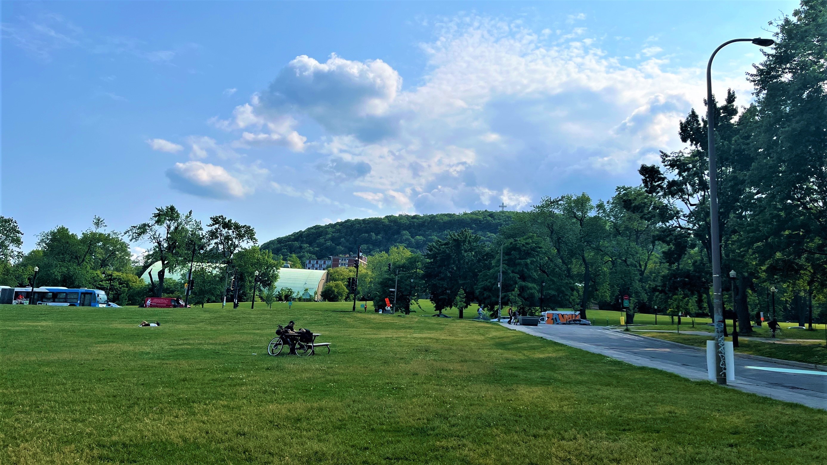 Le parc à chiens du parc Jeanne-Mance se fait attendre