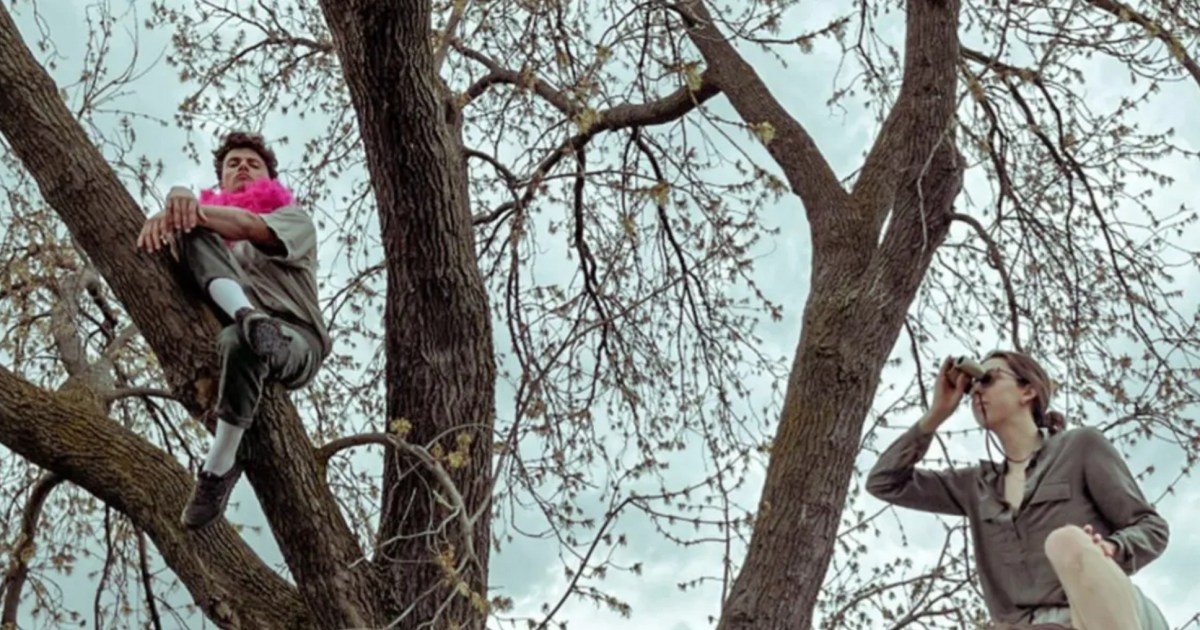 Wazo et la tournée des quartiers - Montréal Complètement Cirque ...