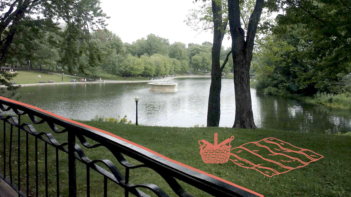 Les parcs du Plateau, pour renouer avec la nature