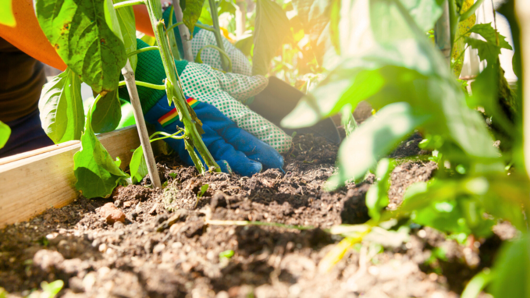 Outremont | Journal Métro