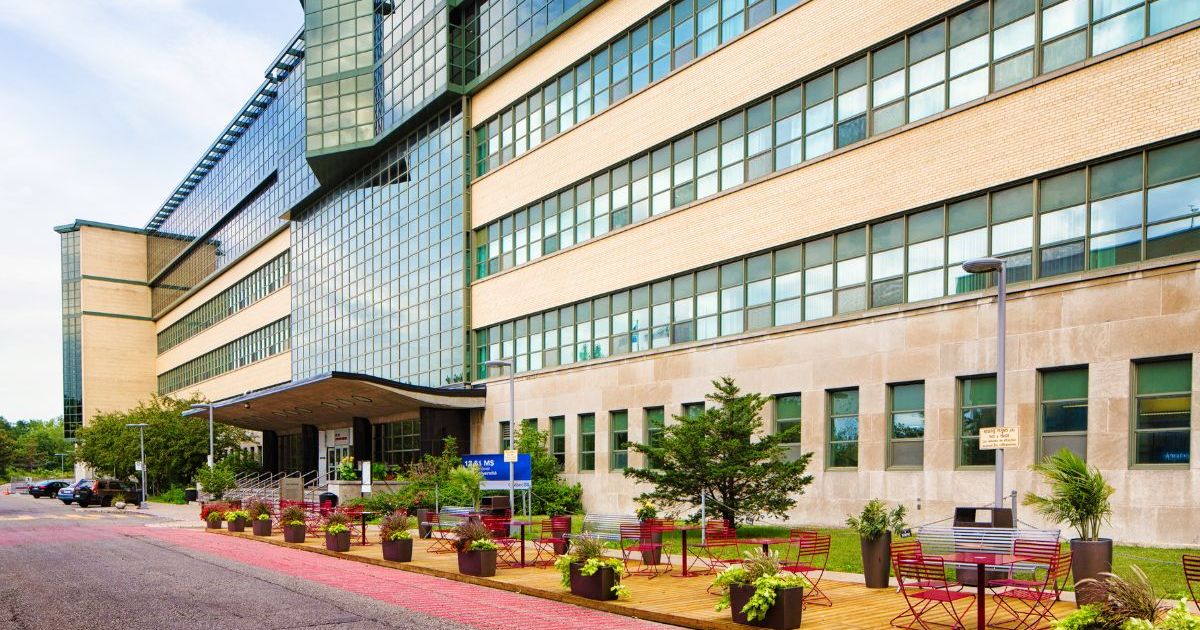 Polytechnique Montréal met au point un implant cérébral «révolutionnaire»